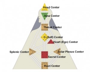 What is Human Design? | Osho News