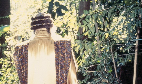 Trees can read your thoughts | Osho News