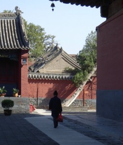 Temple scene | Osho News