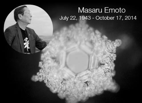 Masaru-Emoto | Osho News