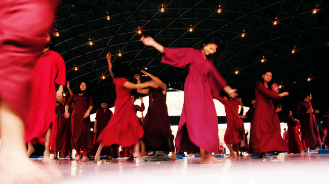 We Celebrate Everything | Osho News