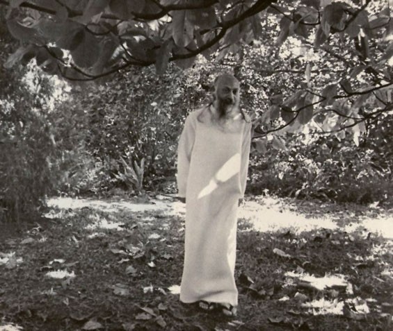 The Eight Steps of Yoga | Osho News
