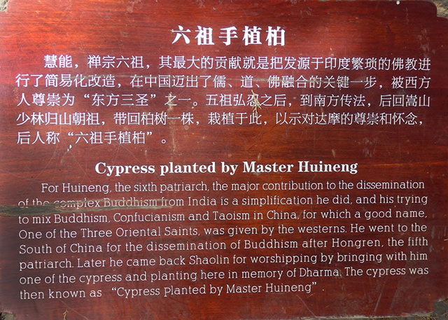 information about Huineng and the tree he planted | Osho News