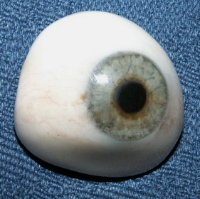 The Glass Eye | Osho News