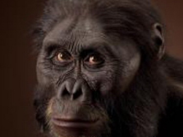 The Pliocene Period, the sprouting of the human branch | Osho News
