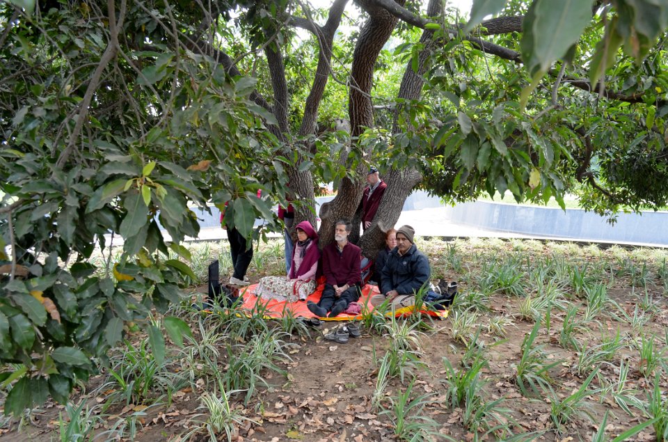 Jabalpur, the tree where Osho became enlightened | Osho News