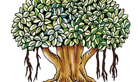 tree-keerti-article-feat | Osho News