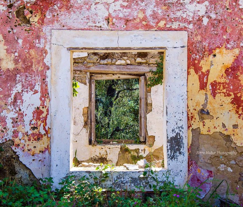 015 Petra windows | Osho News