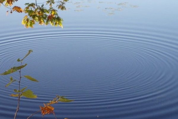 The ripple effect | Osho News