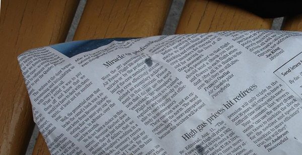 Wrapped in newspaper | Osho News