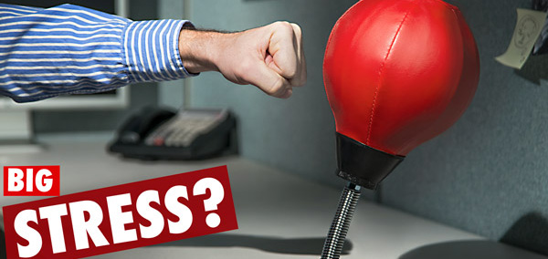 Desktop Punch Bag | Osho News