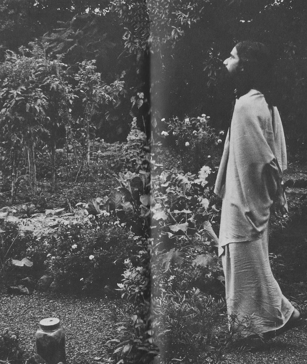 Chinmaya ashram garden | Osho News