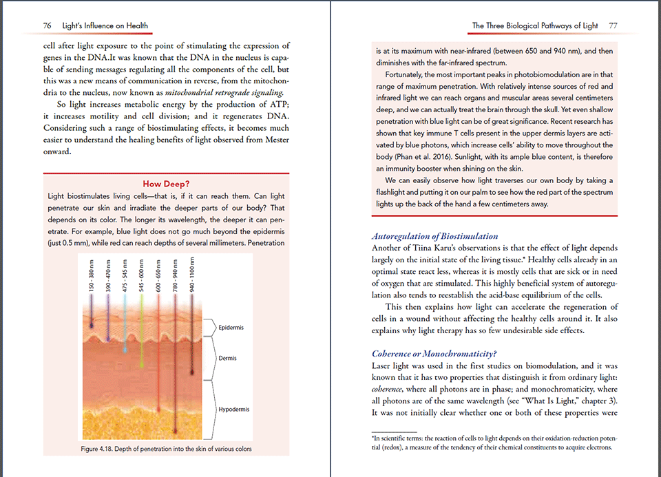 Light Therapies: A complete guide to the Healing Power of Light | Osho News