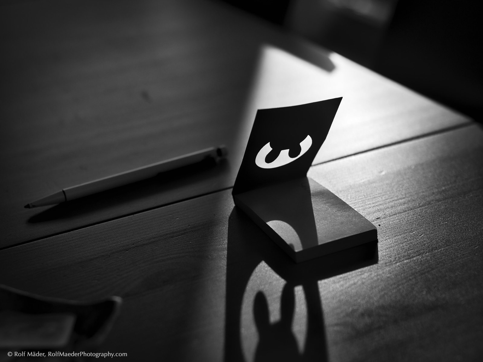 Photography with limitations | Osho News