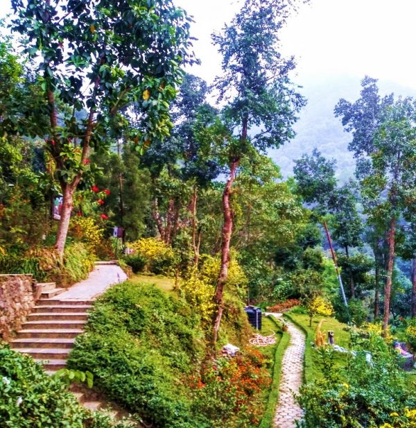 Tapoban walkway | Osho News