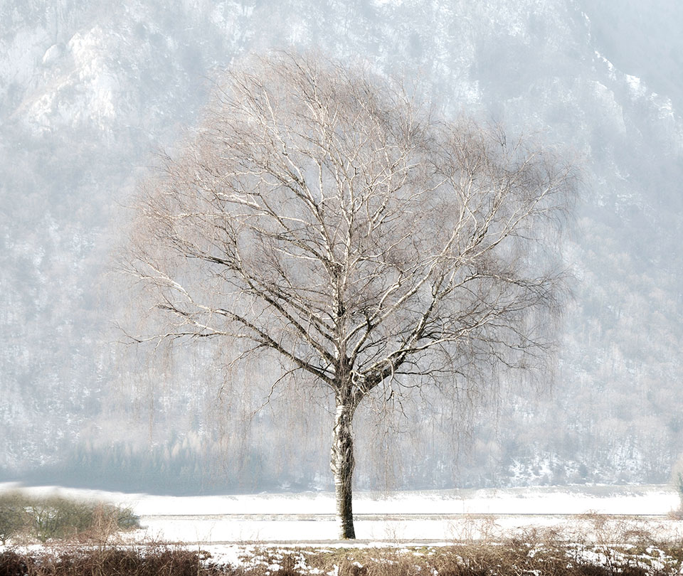 Winter | Osho News