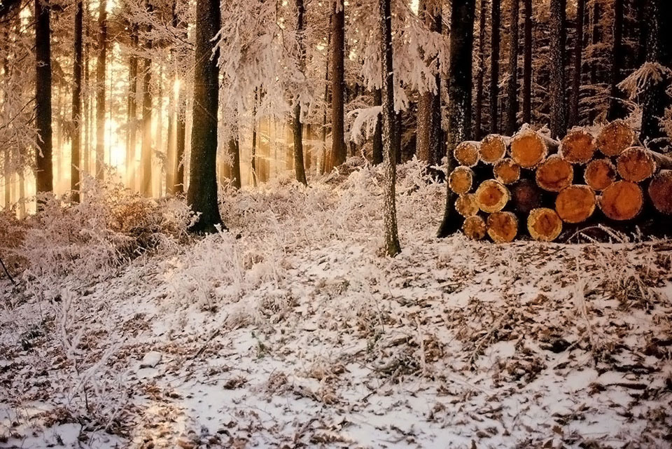 Winter | Osho News
