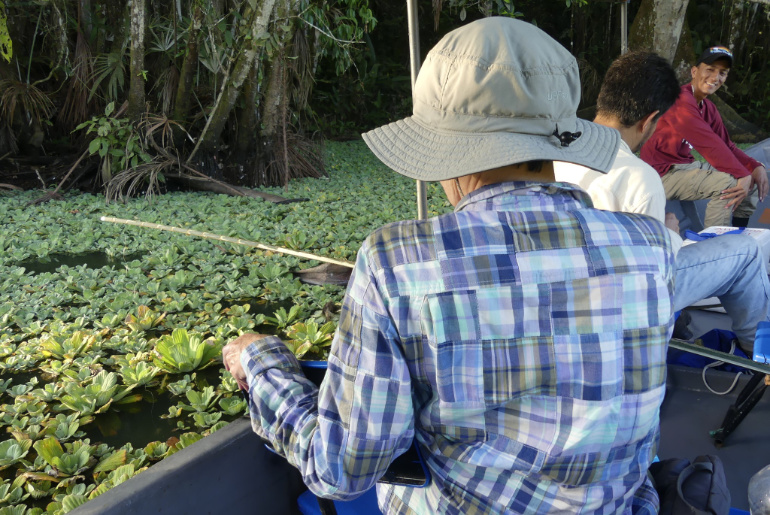 at the Limoncocha Biological Reserve | Osho News