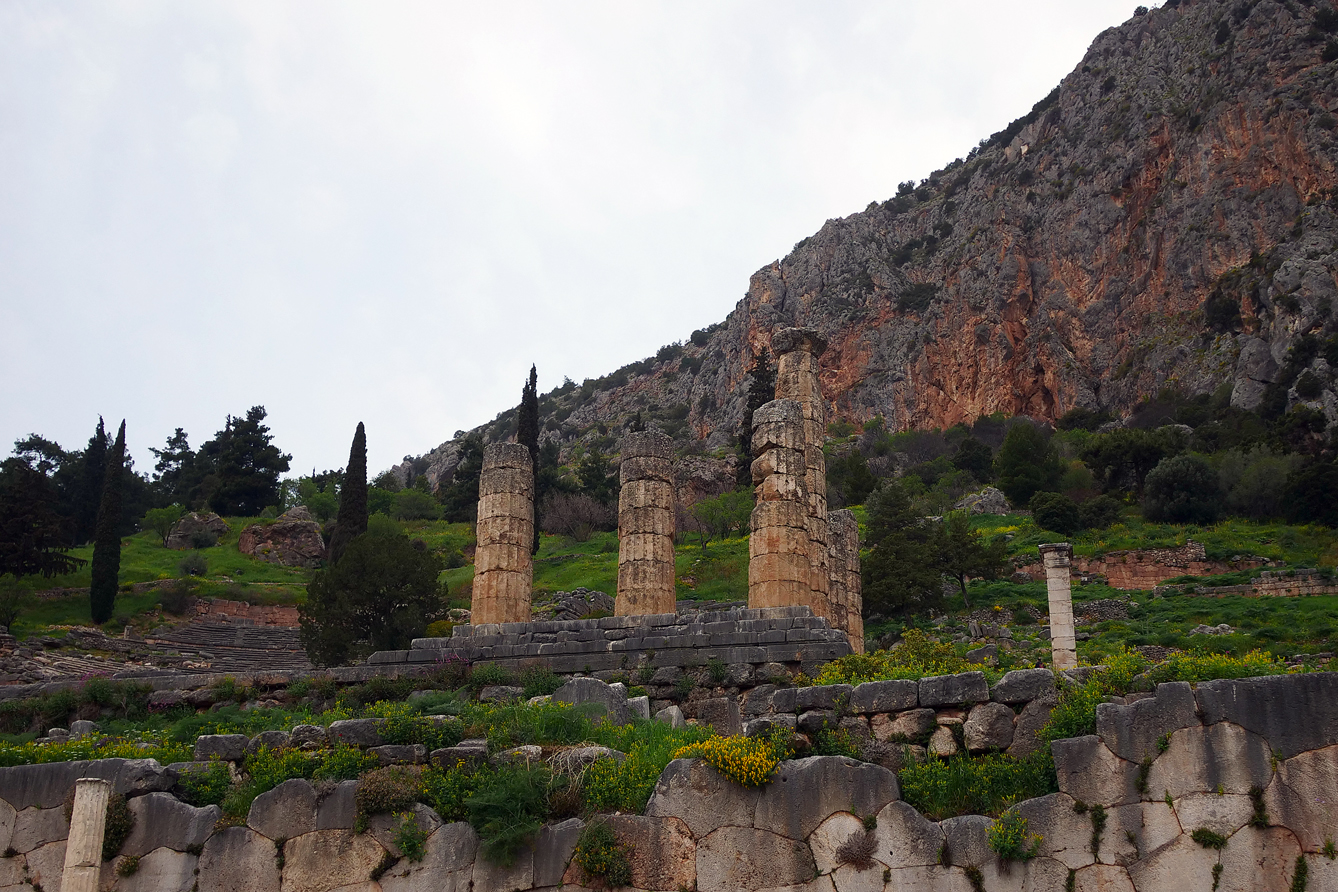 Columns in Delphi | Osho News
