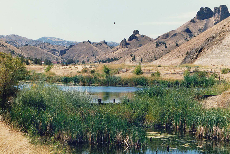 Small-dams-2 | Osho News